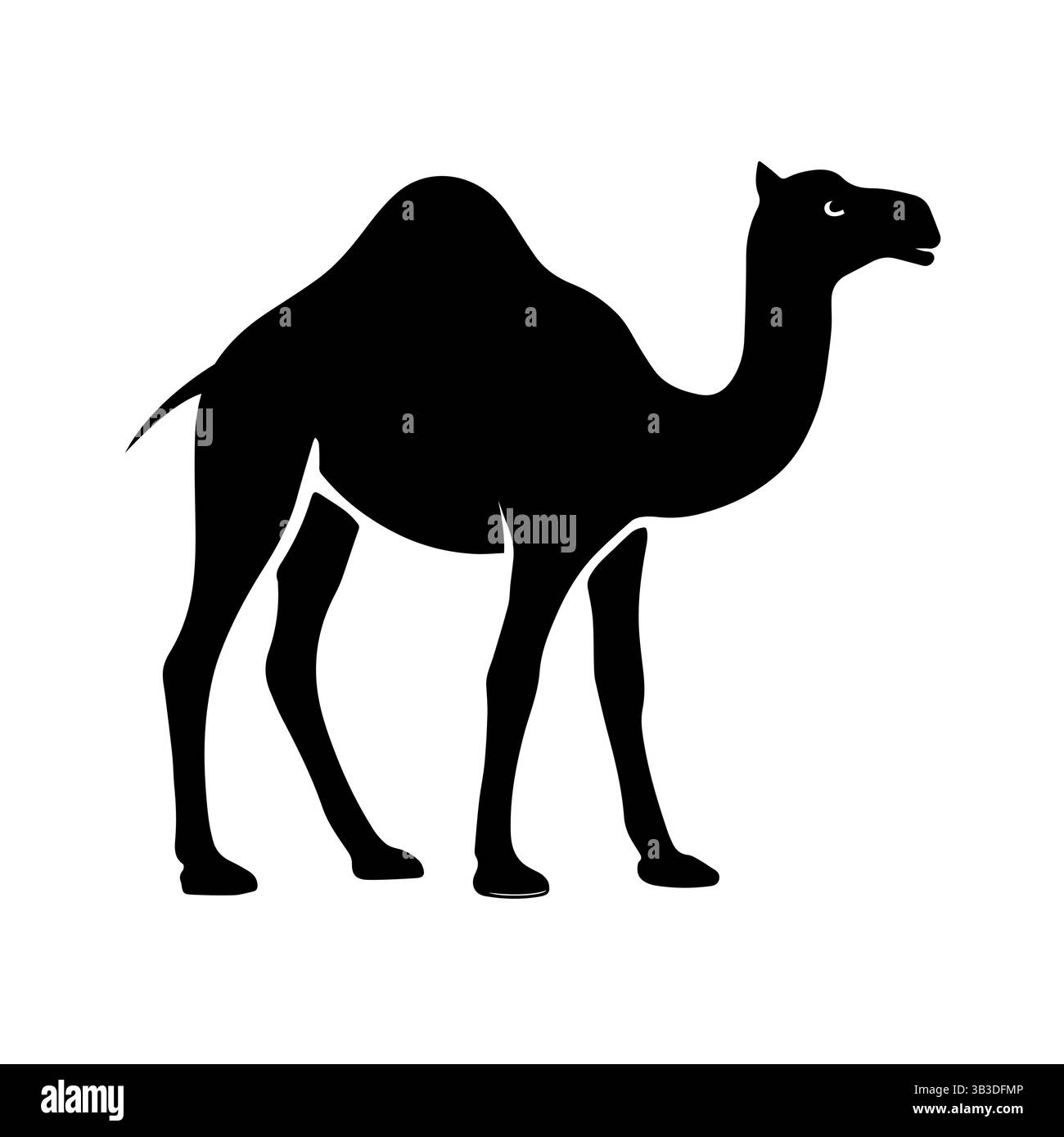 Camel side view hi-res stock photography and images - Alamy