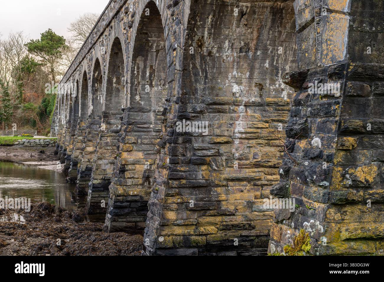 Bridge in cork historic hi-res stock photography and images - Alamy