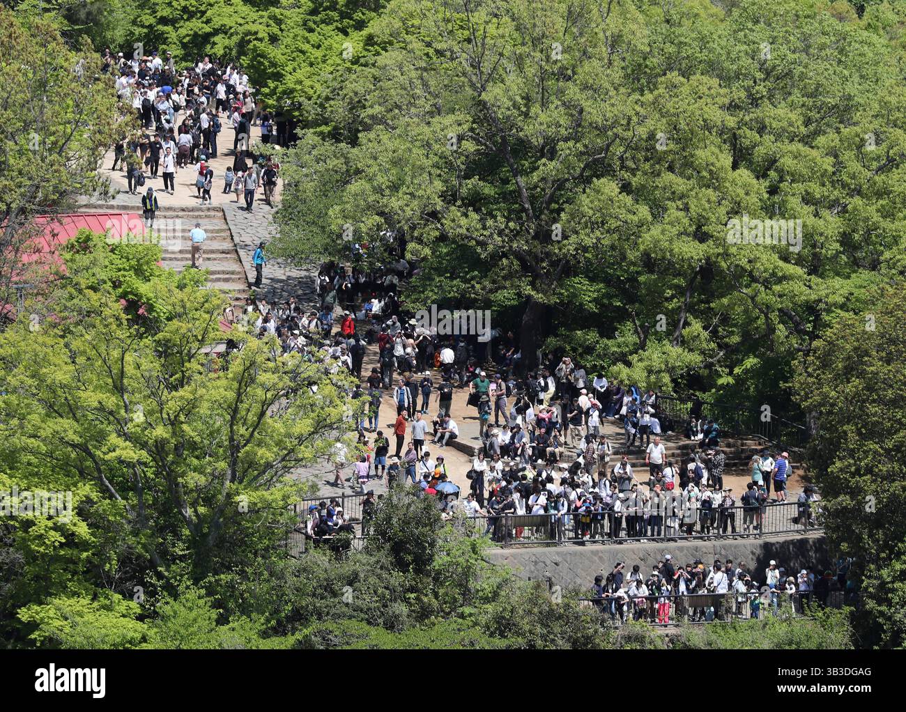An aerial photo shows the summit of Mt. Takao crowded with tourists in ...
