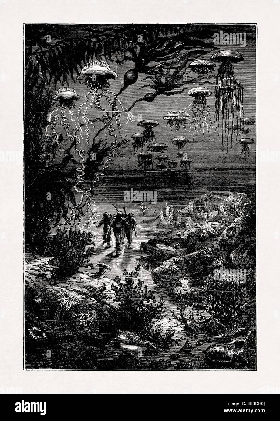 Illustration by Alphonse de Neuville depicting an underwater landscape ...