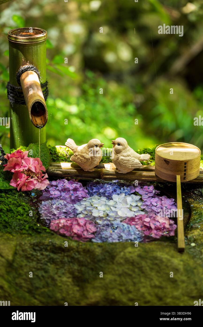 "Koi Chozu" (Love Flower Water Basin) Hanachozu, decorated with ...