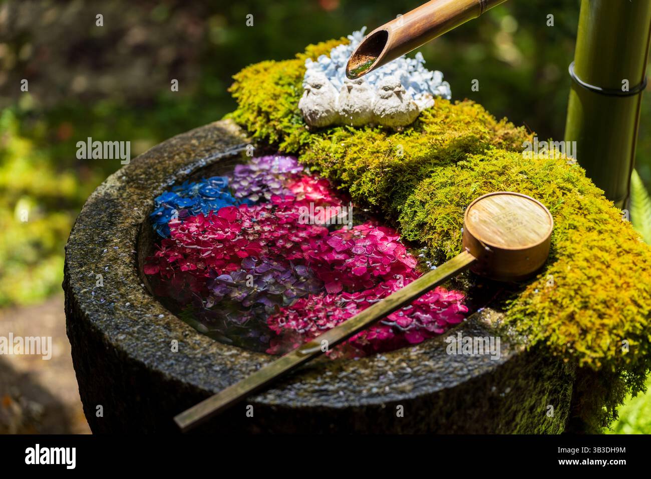 "Niwa Chozu" (Garden Flower Water Basin) Hanachozu in Jodo-en Garden ...