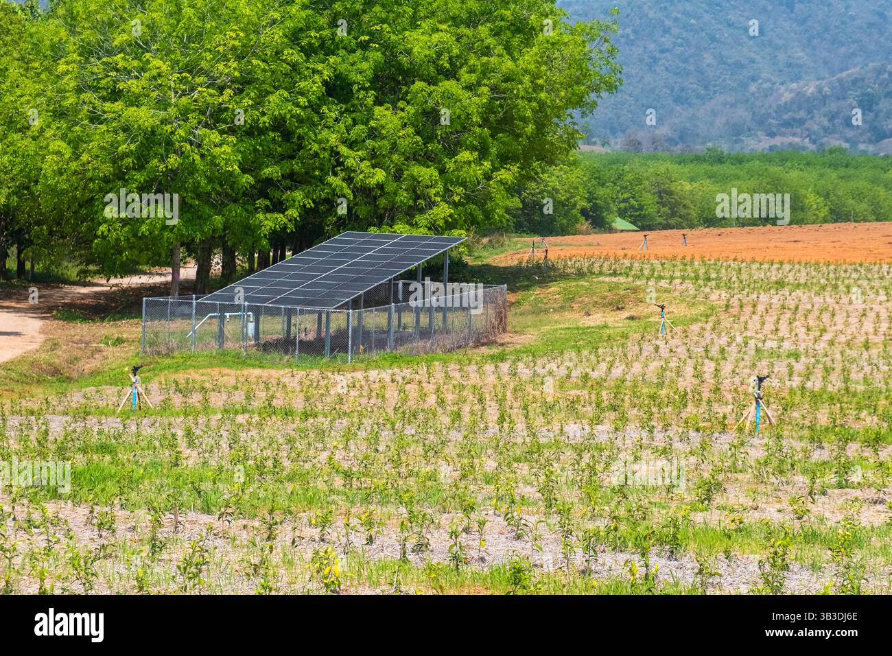 Modern agricultural field with a solar panel installation and ...