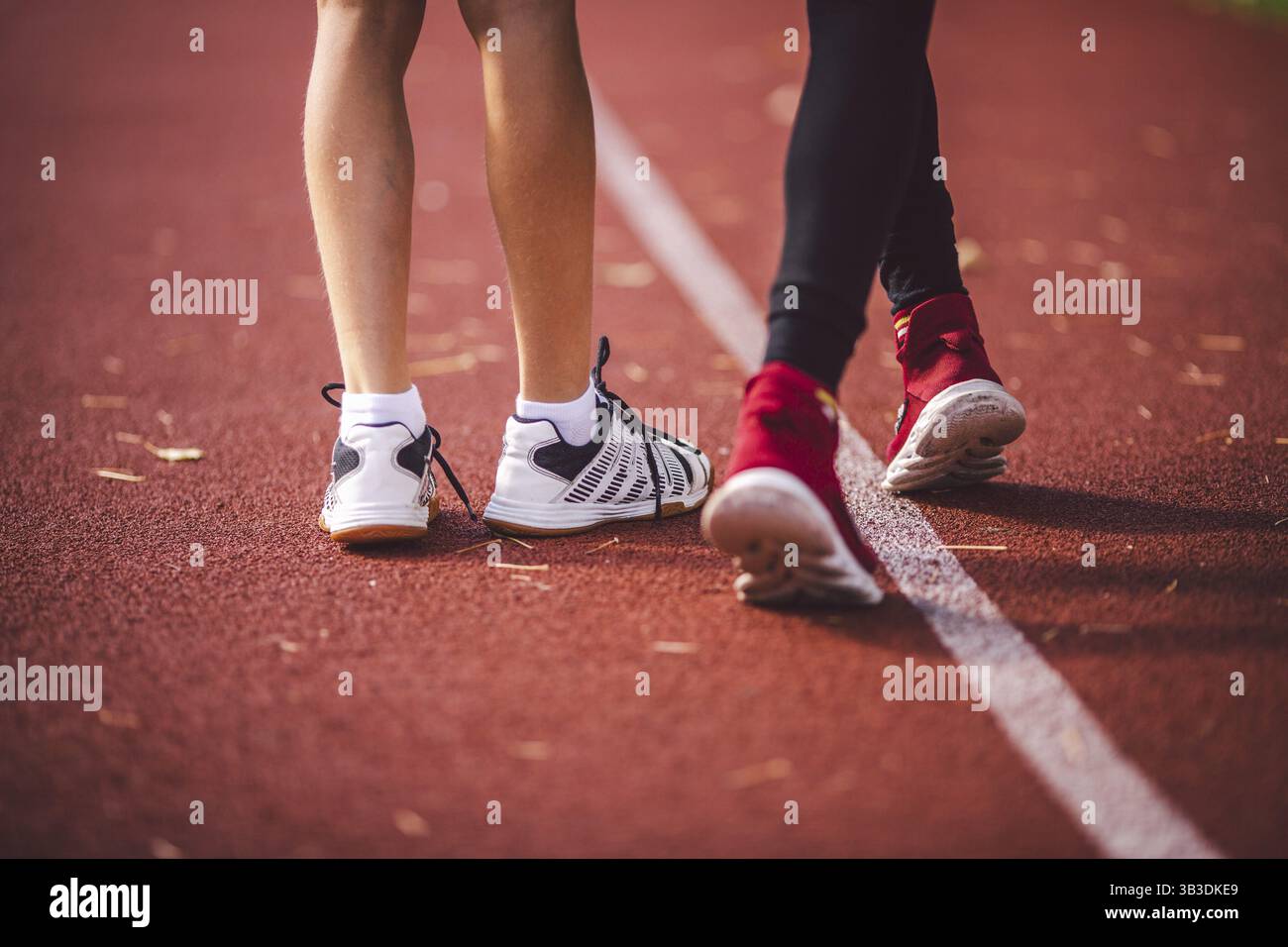 Four legs close-up brother and sister in trainers running on red ...
