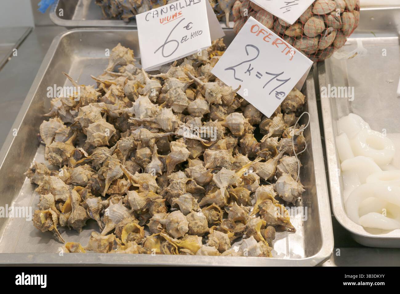 Snails sea food hi-res stock photography and images - Alamy