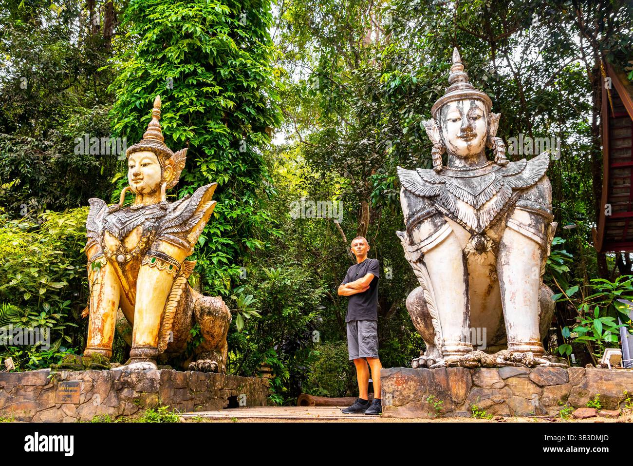 Male handsome tourist man poses takes selfie at antique old mossy ...