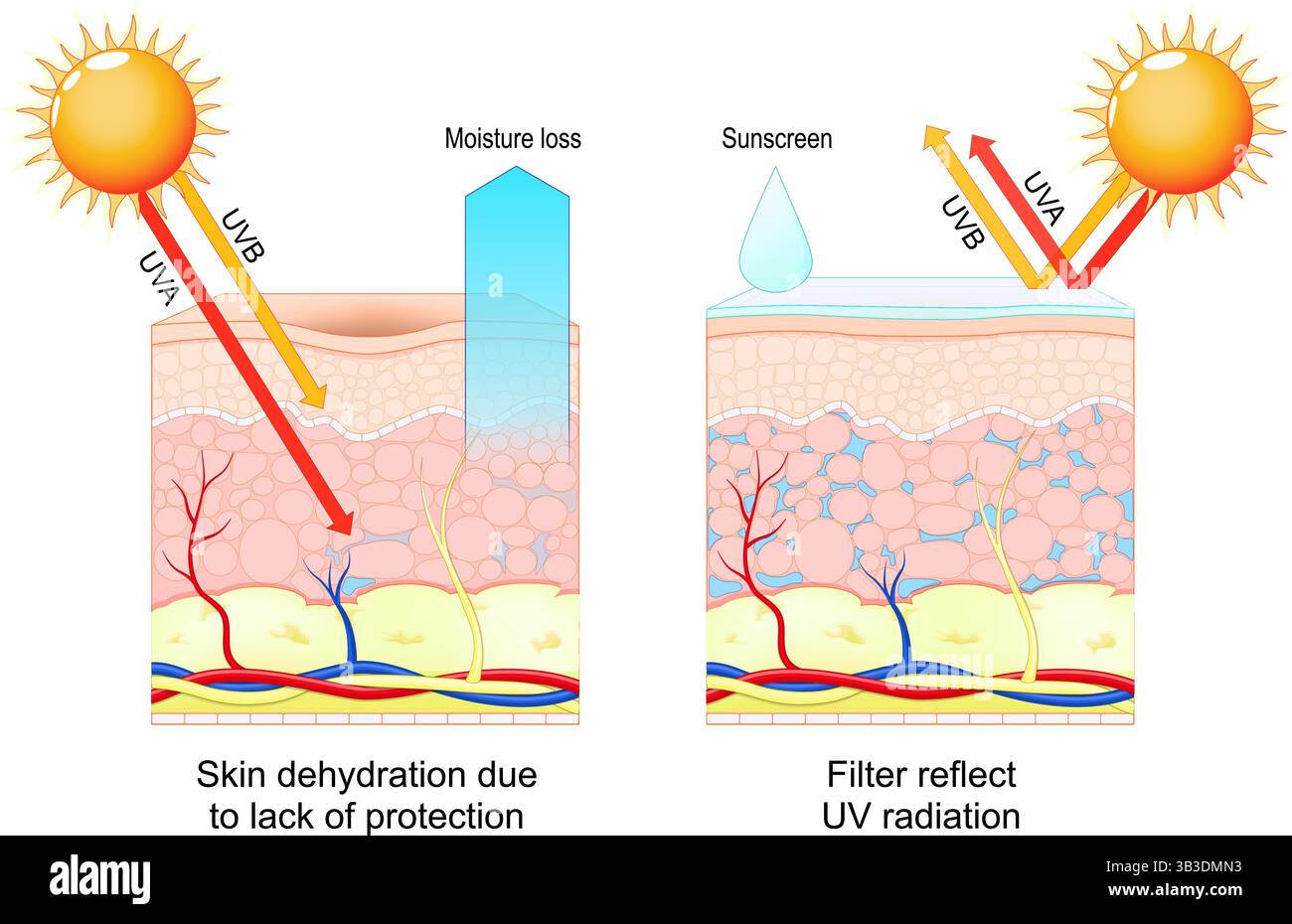 Uv radiation diagram Cut Out Stock Images & Pictures - Alamy
