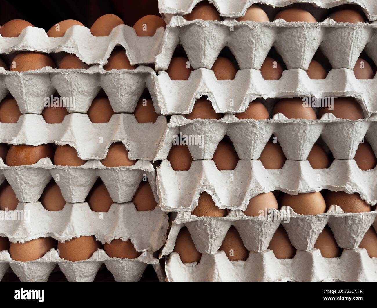 Still life stacks of fresh brown eggs in cartons Stock Photo - Alamy