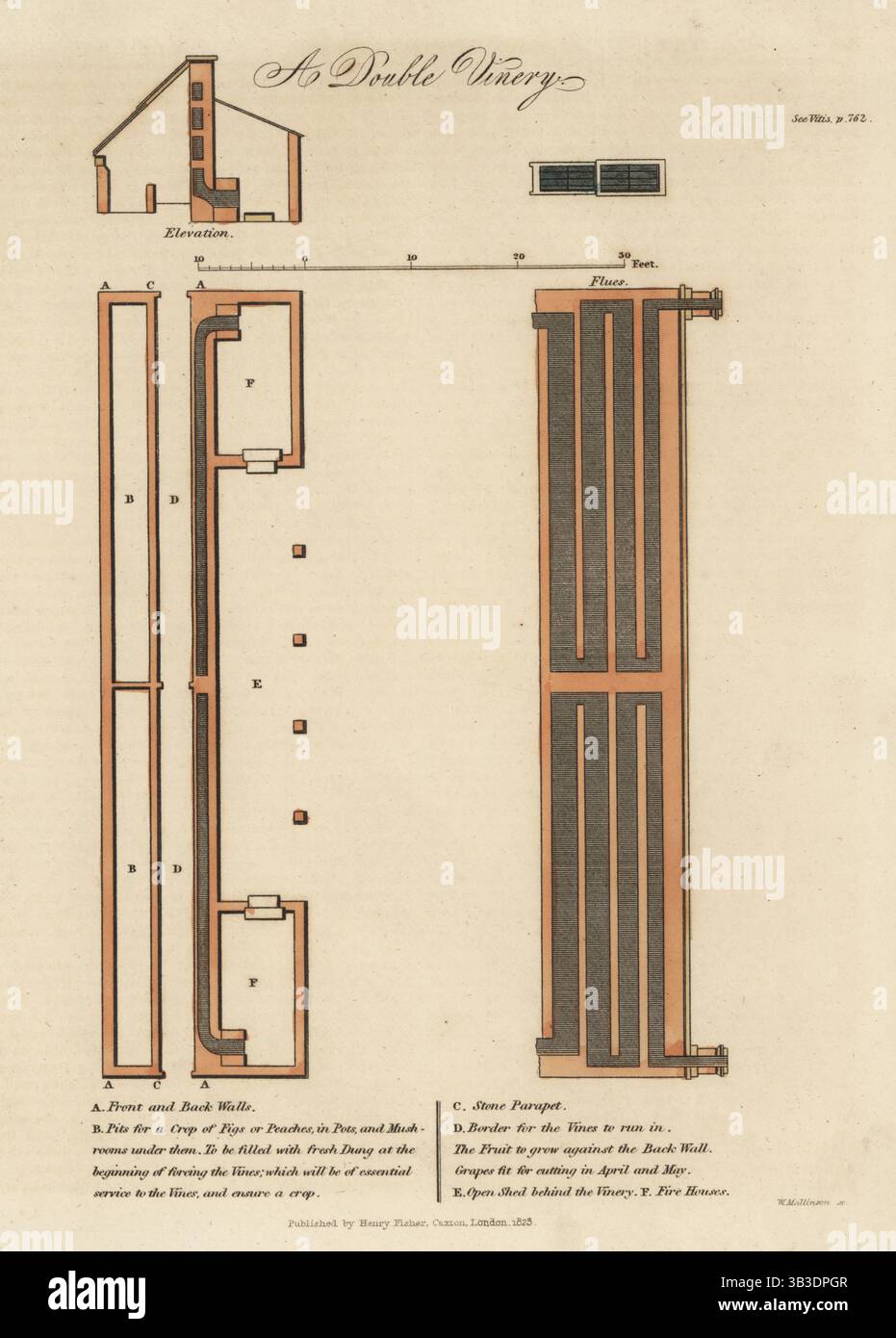 Plan and elevation of a double vinery. Front and back walls A, pits for ...