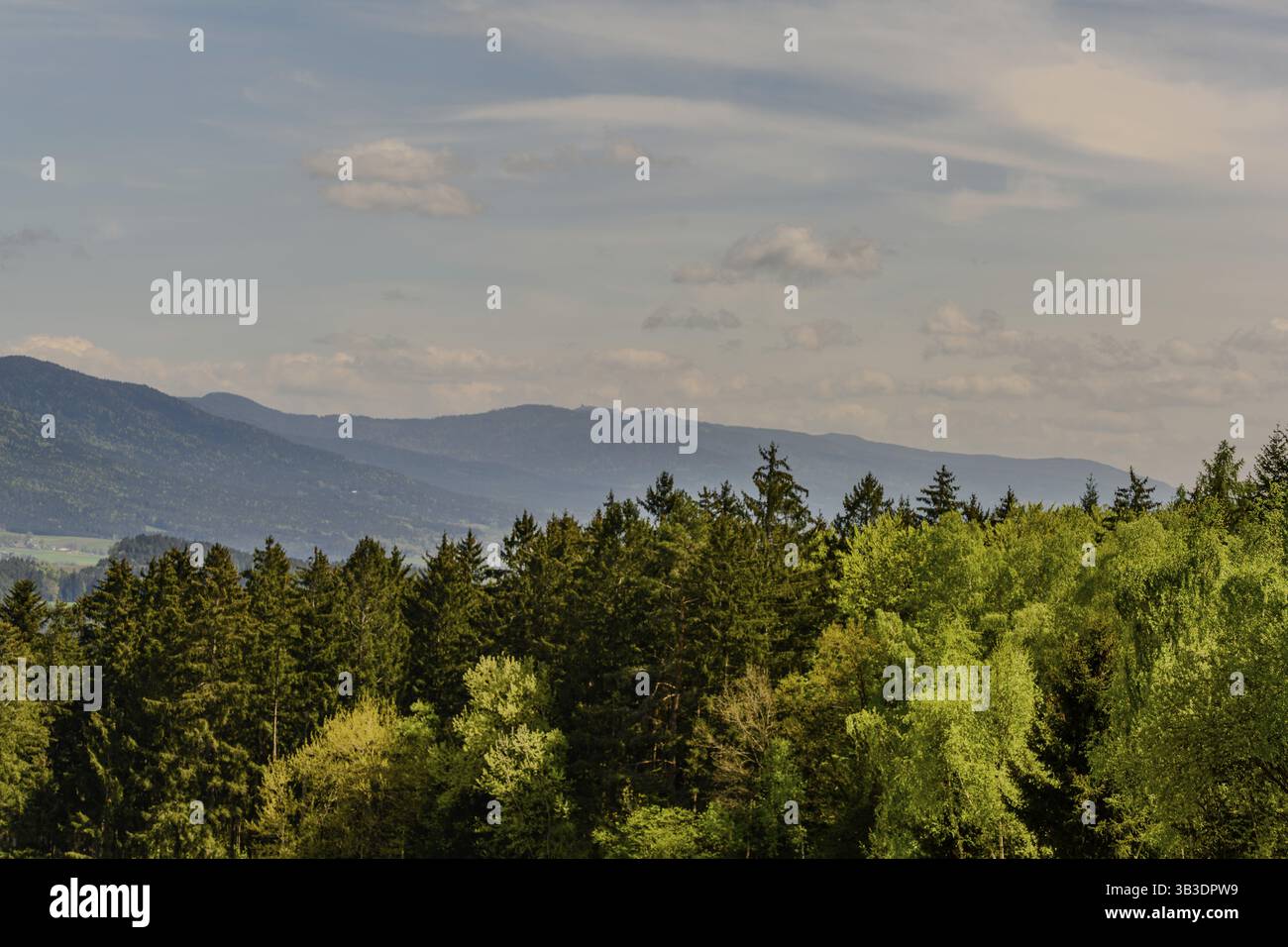 Wooded hills with a clear view and wide clouds in the sky, Rossberg, Miltach, Upper Palatinate ...