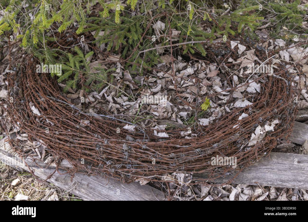 Barbed wire wires rust rusty hi-res stock photography and images - Alamy