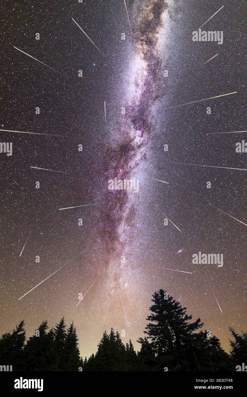 A view of a Meteor Shower and the purple Milky Way with pine trees ...