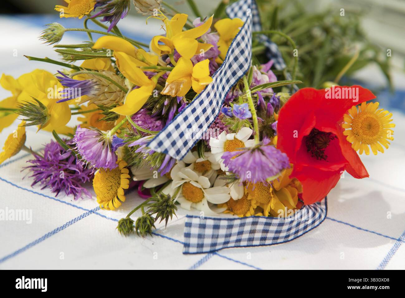Still life with various wild flowers as poppies and clover Stock Photo ...