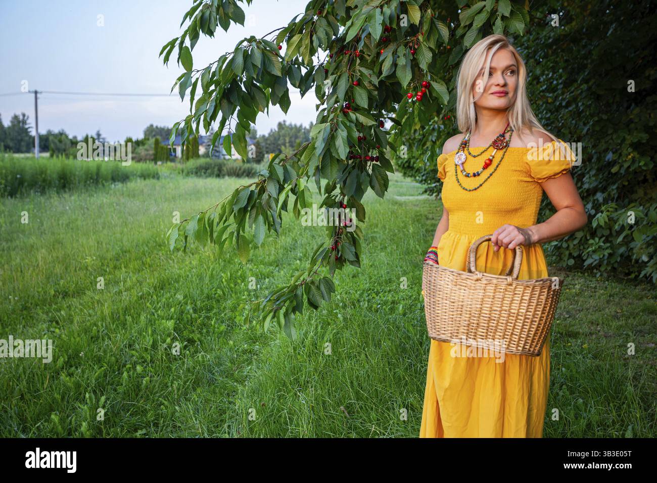 Scene unfold amidst trees hi-res stock photography and images - Alamy