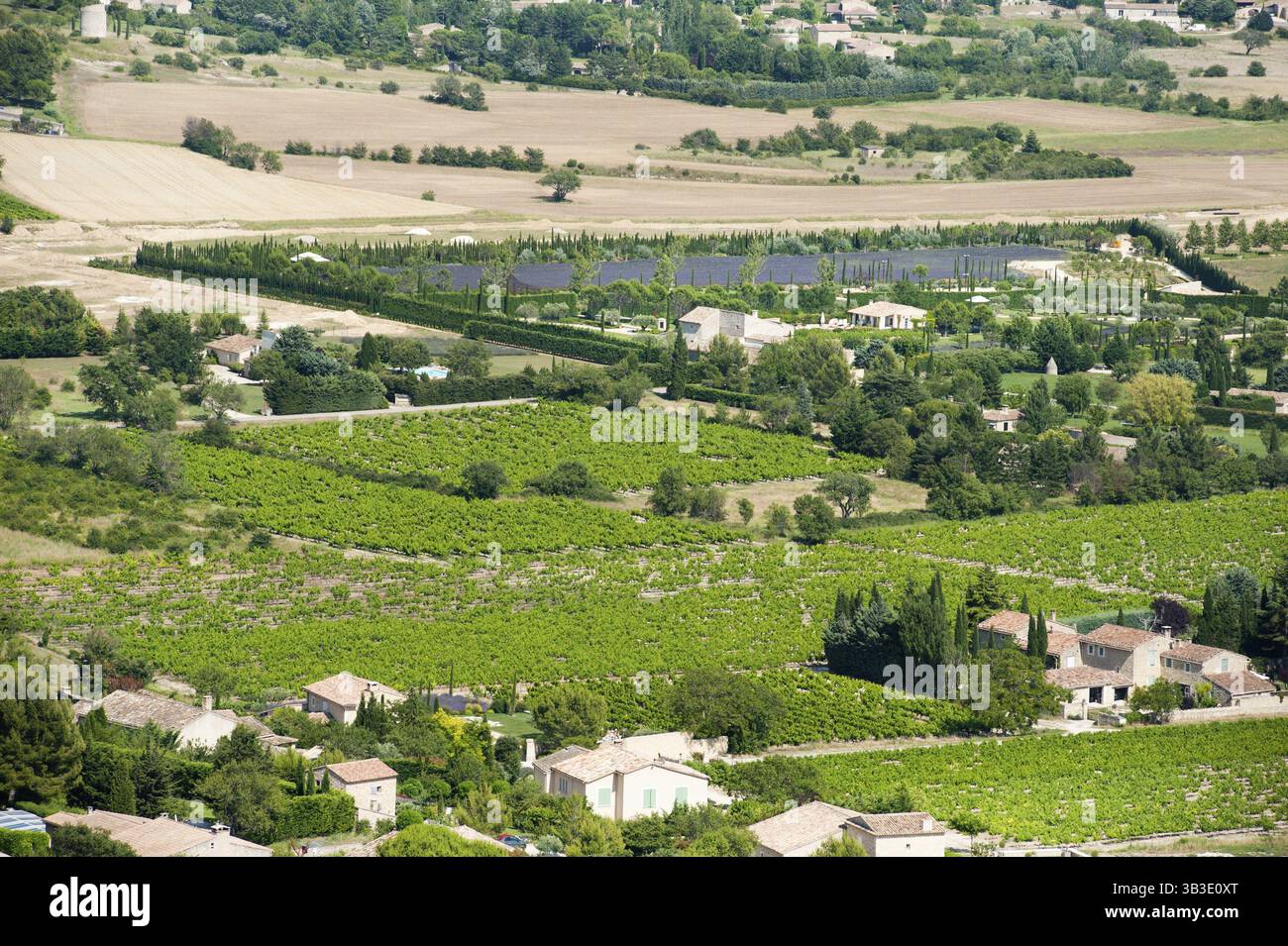 Vineyard in provence southern hi-res stock photography and images - Alamy