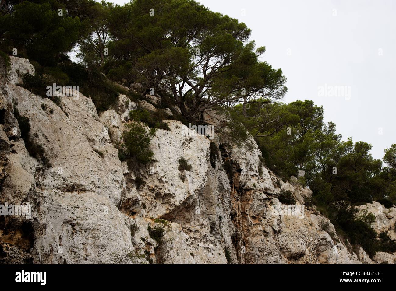 typical canyon gorge rock cliff face with green trees in Menorca Stock ...