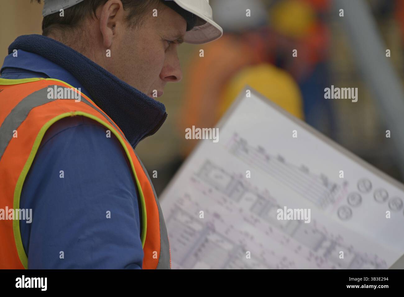 West Coast, New Zealand, July, 2014: An unidentified builder consults ...