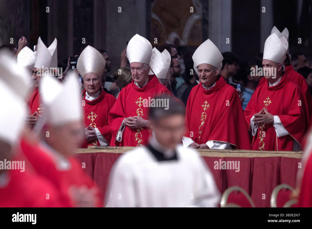 Cardinals, Cardinale Michael Louis Fitzgerald , Timothy Peter Joseph ...