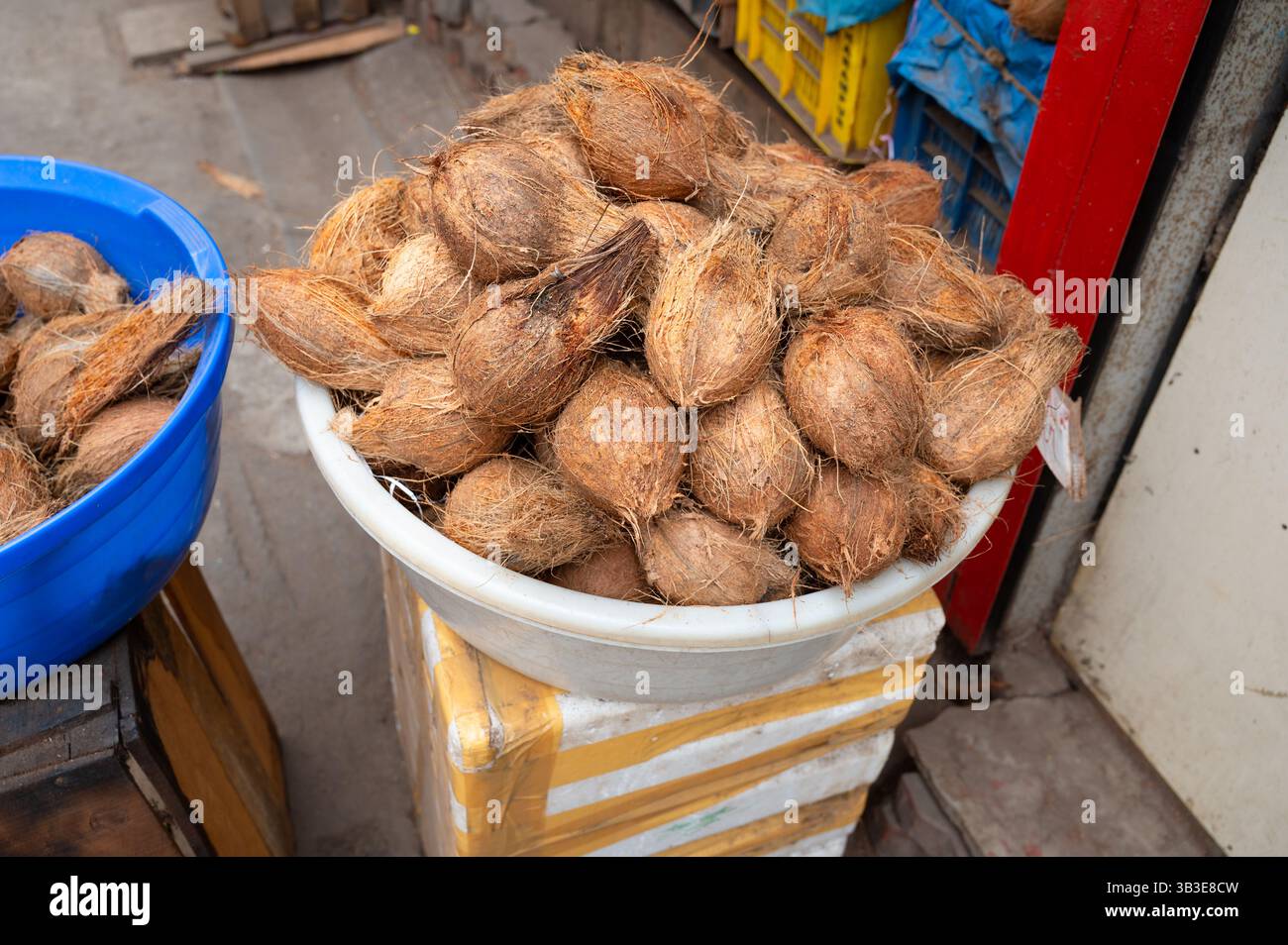 Fresh coconuts on a market stall in India, tropical fruit and milk ...