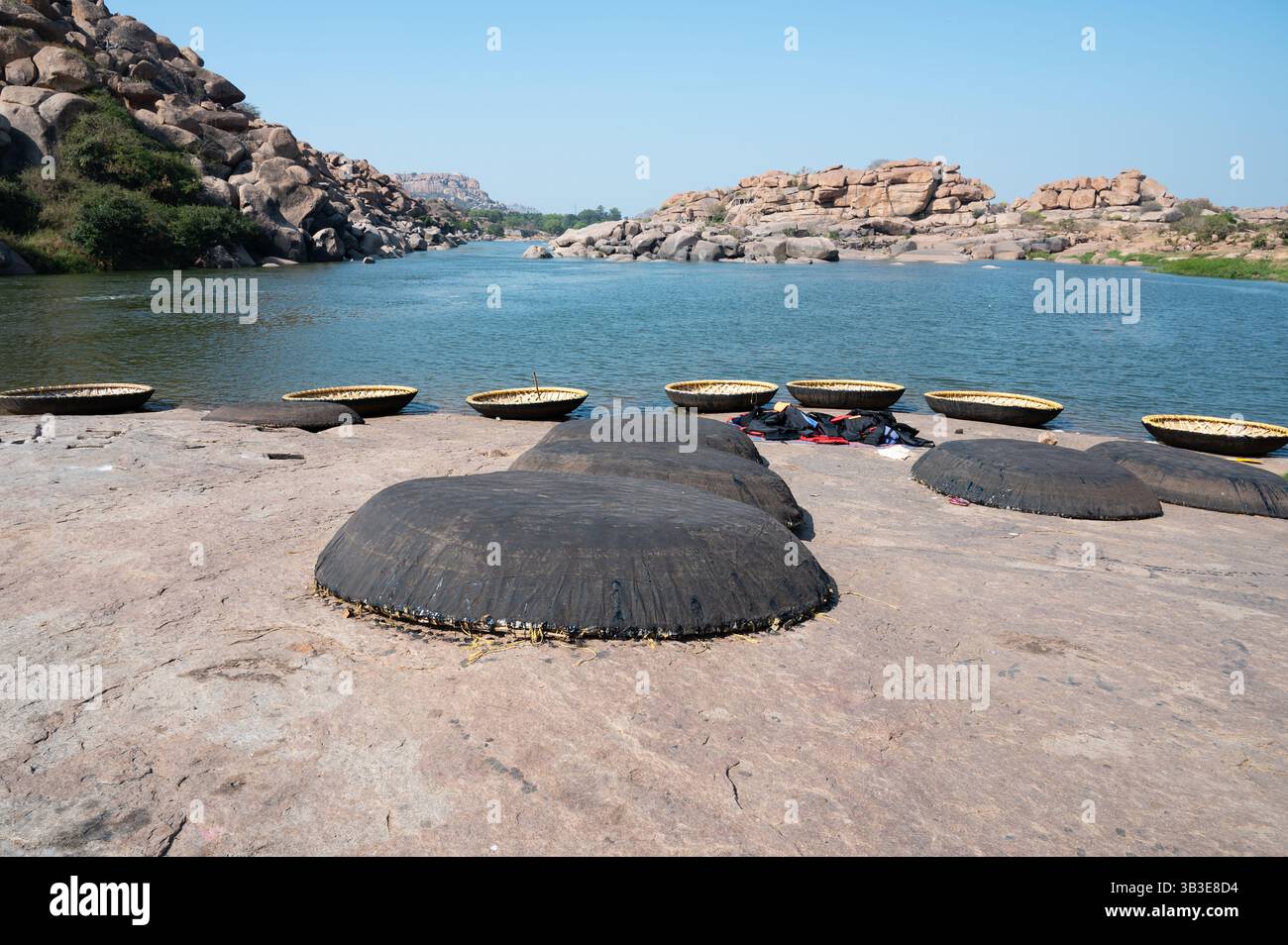 Coracle boats at the Tungabhadra River in Hampi, India, traditional ...