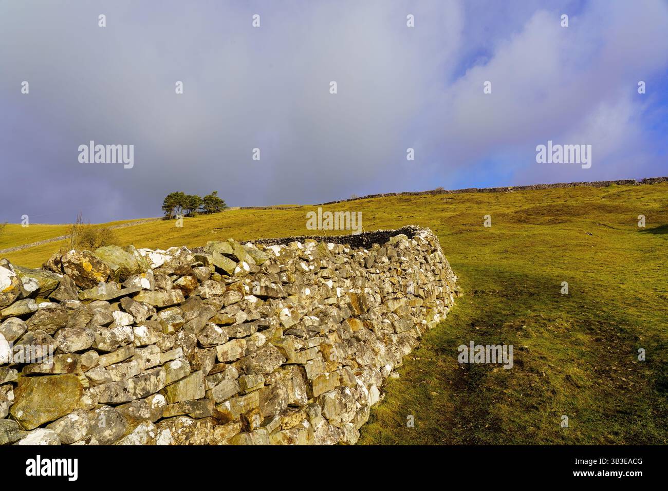 A curved dry stone wall winds through green hills in the Yorkshire ...