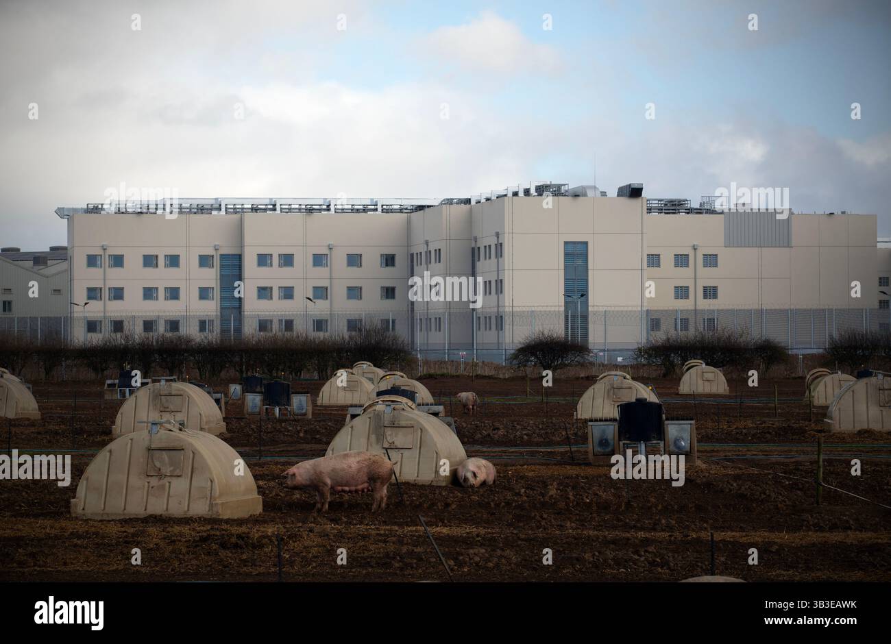 Category c hi-res stock photography and images - Alamy