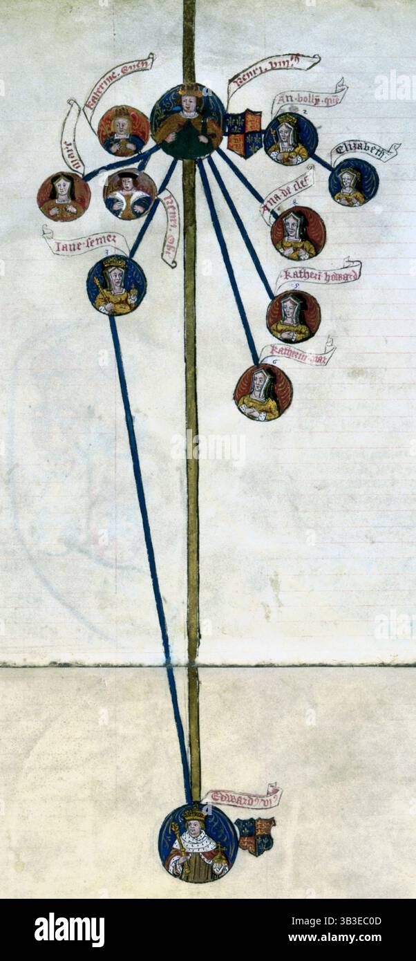 Family tree of King Henry VIII and his six wives, second half of the ...