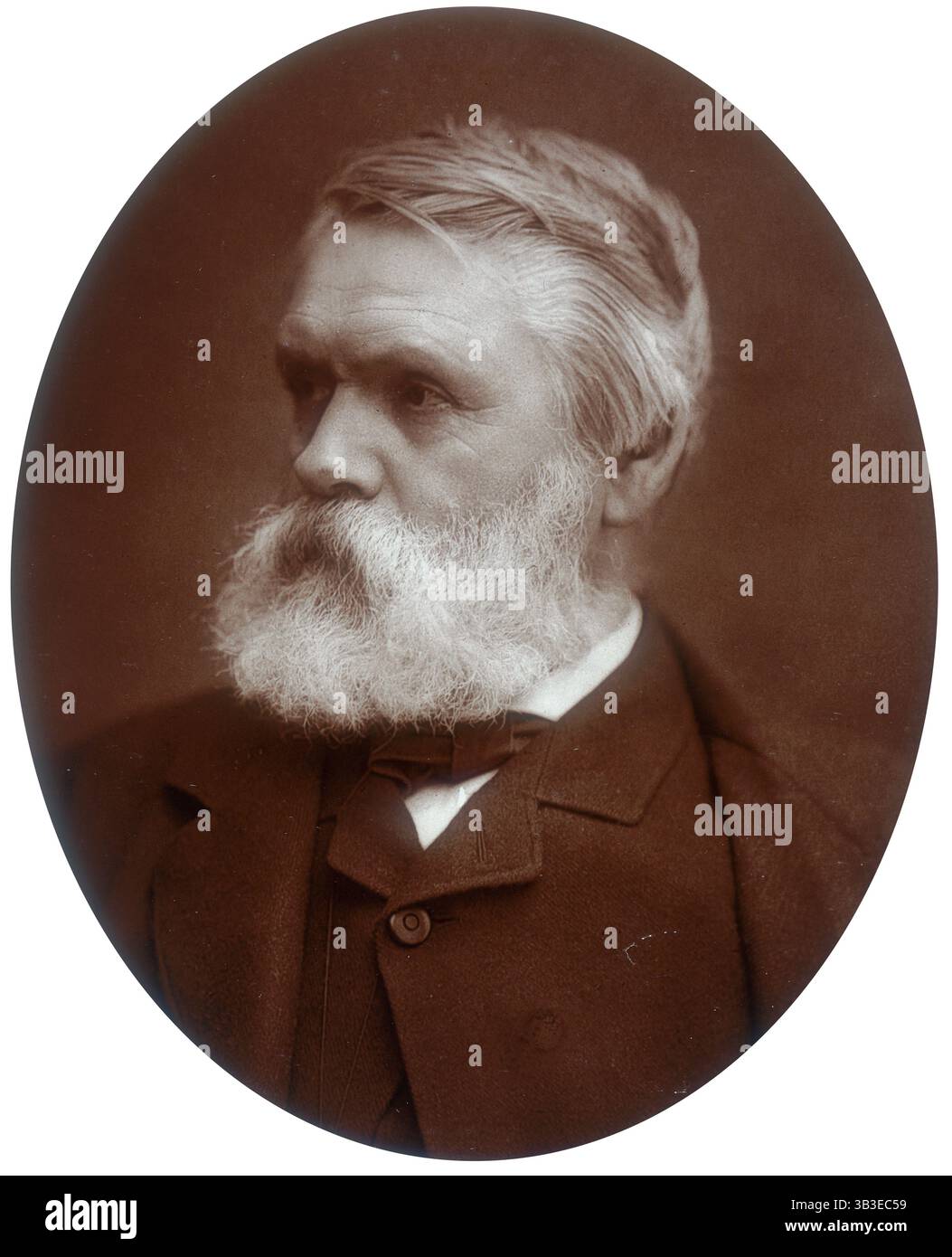 Tom Taylor, dramatist and critic, 1881. Taylor (1817-1880) was a ...