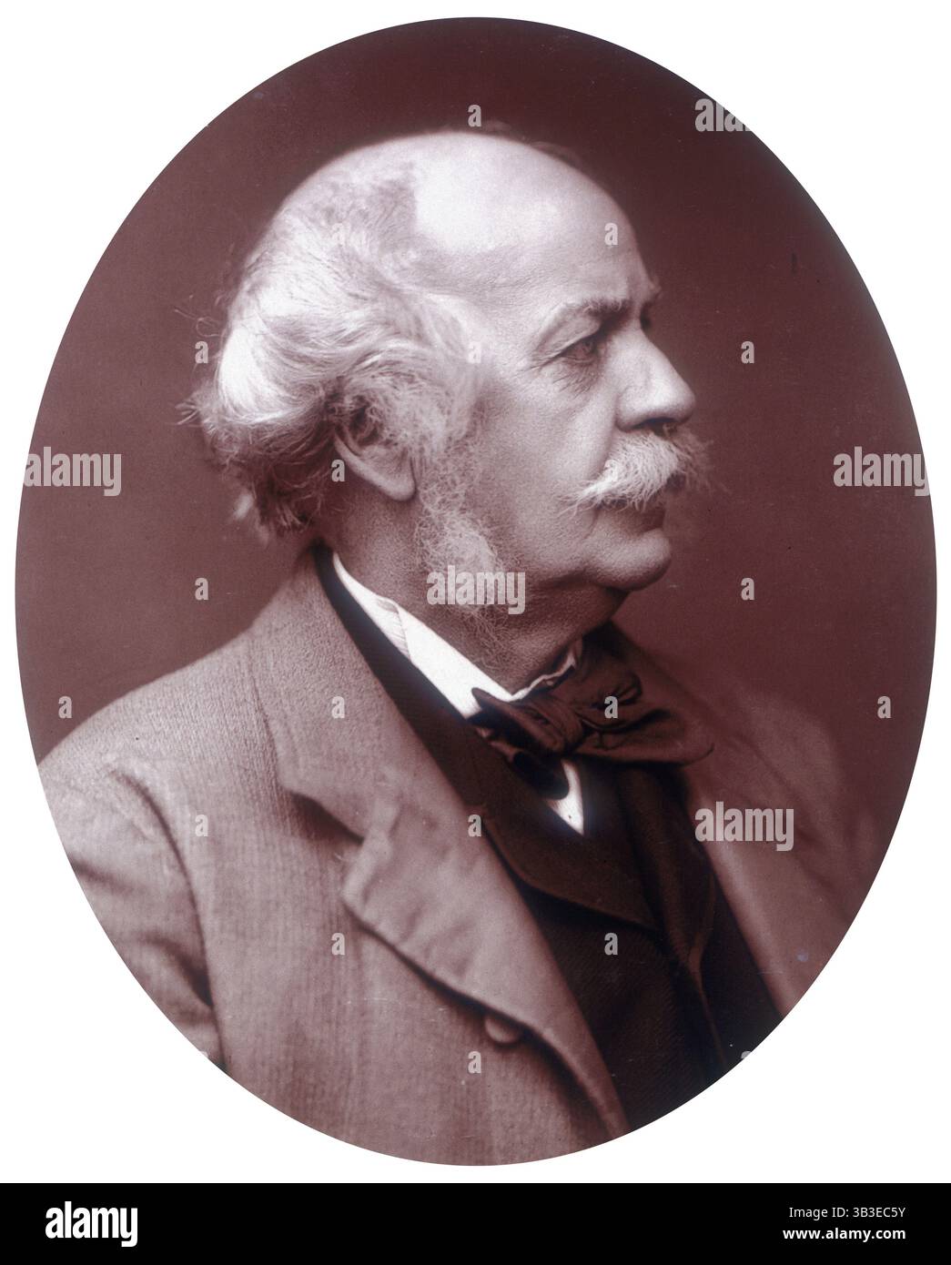 Sir Henry Creswicke Rawlinson, British soldier and orientalist, 1882 ...