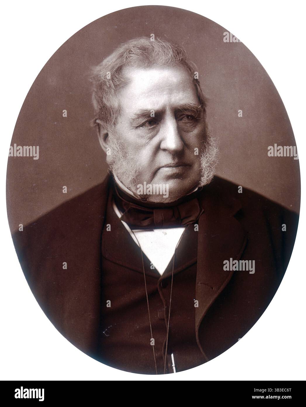 Sir Richard Malins, politician and jurist, 1882 Stock Photo - Alamy