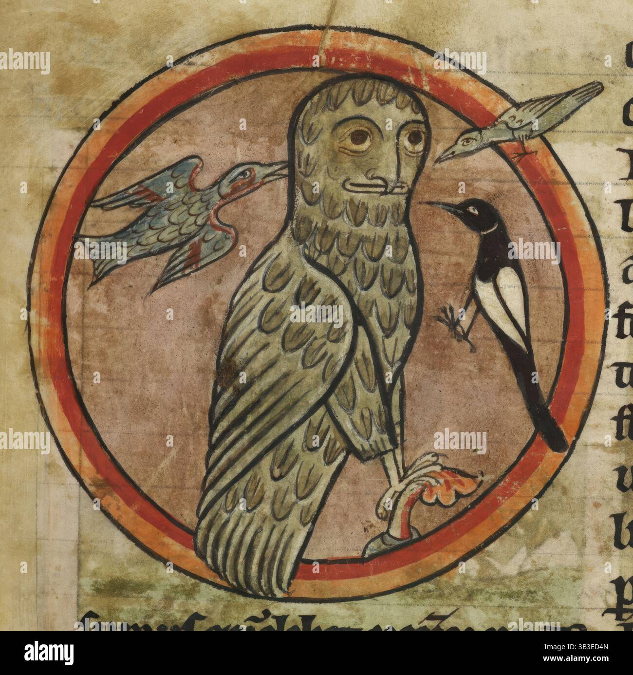 Bestiary gerald of wales hi-res stock photography and images - Alamy