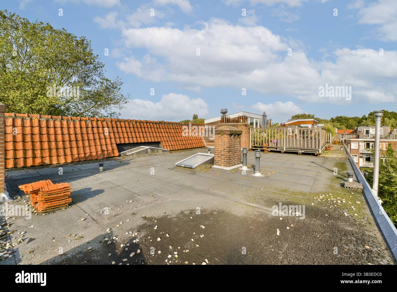 A rooftop scene featuring a mixture of roofing materials and lush ...