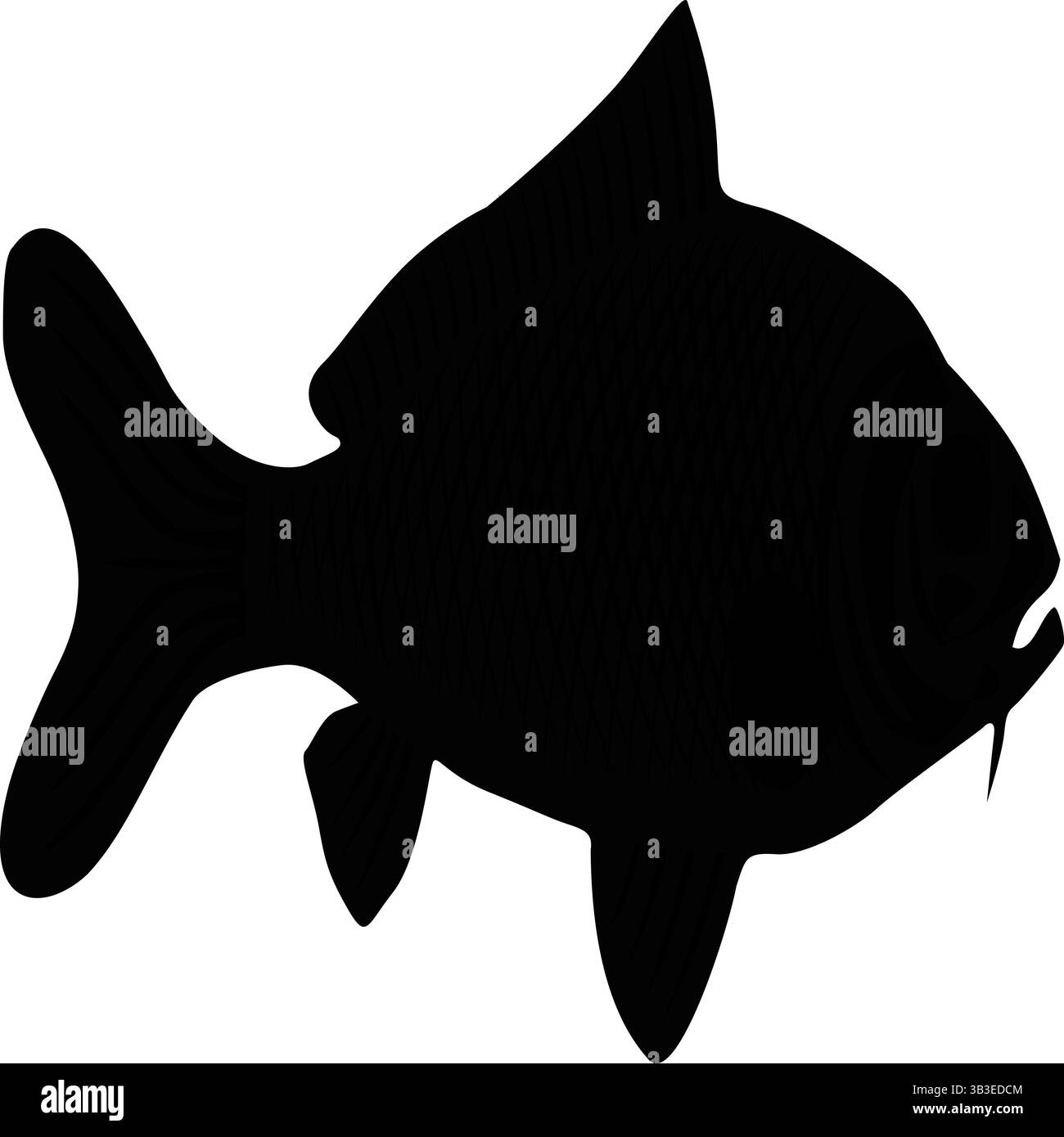 Versatile fish vector hi-res stock photography and images - Alamy