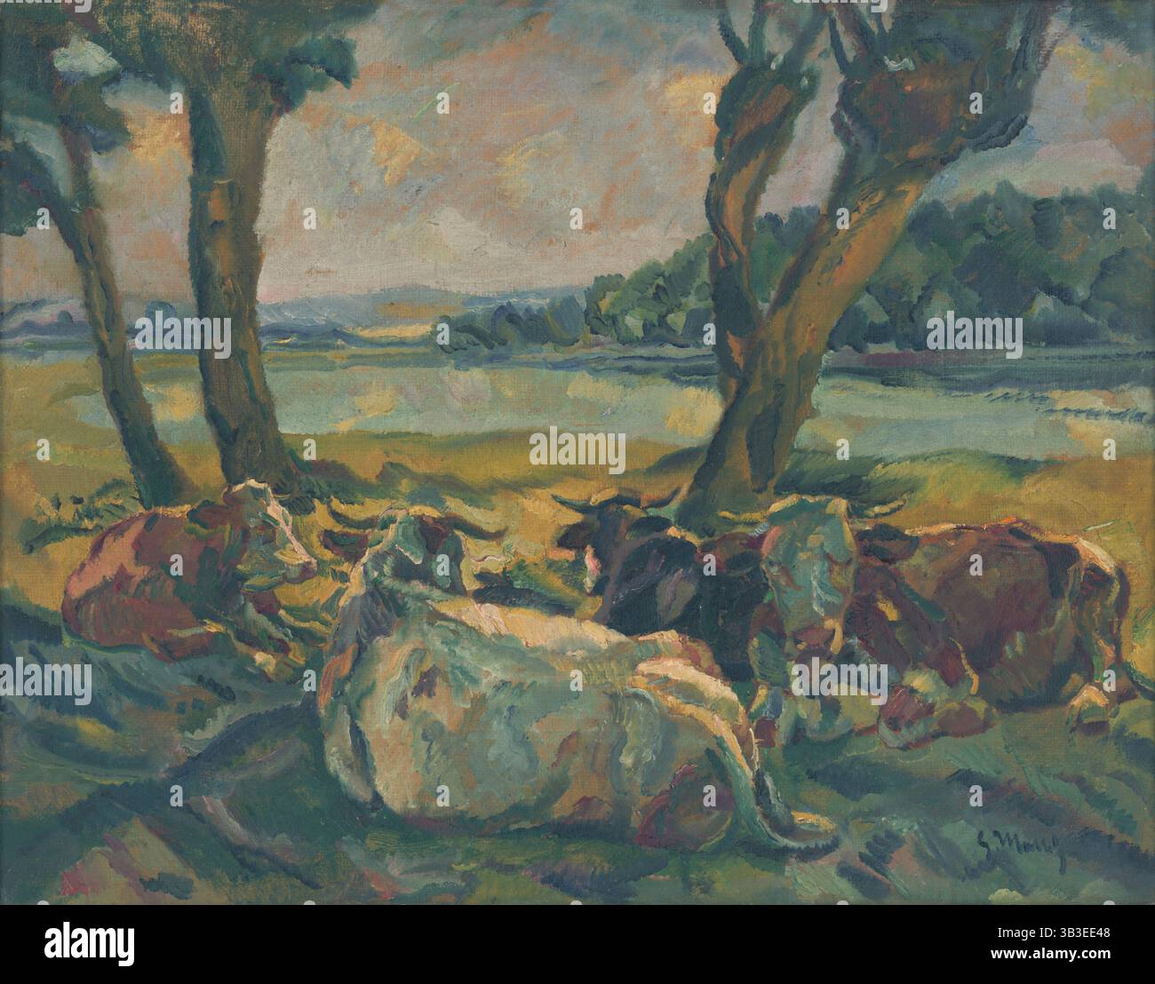 Cows resting under trees hi-res stock photography and images - Alamy