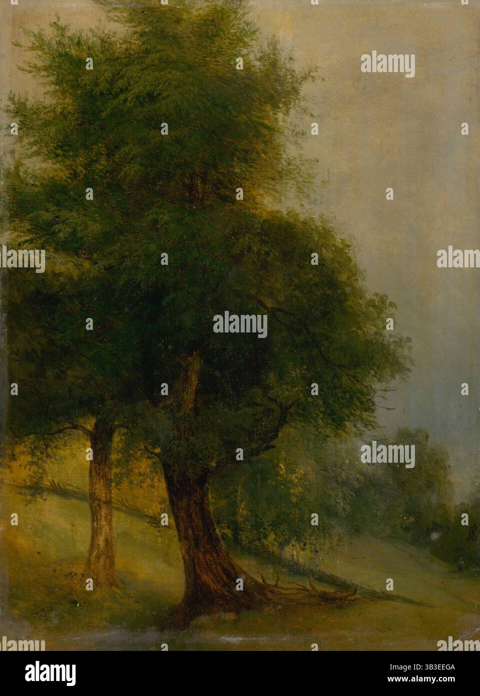 Trees on a slope, 1870-1880 Stock Photo - Alamy