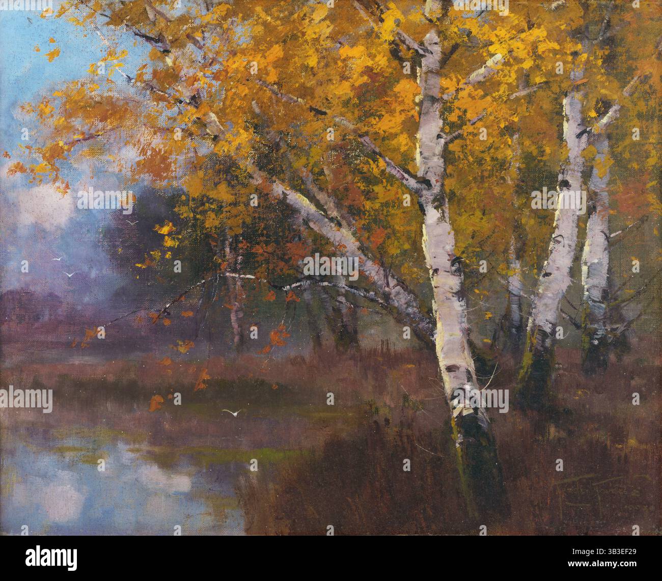 Birch trees, 1909 Stock Photo - Alamy