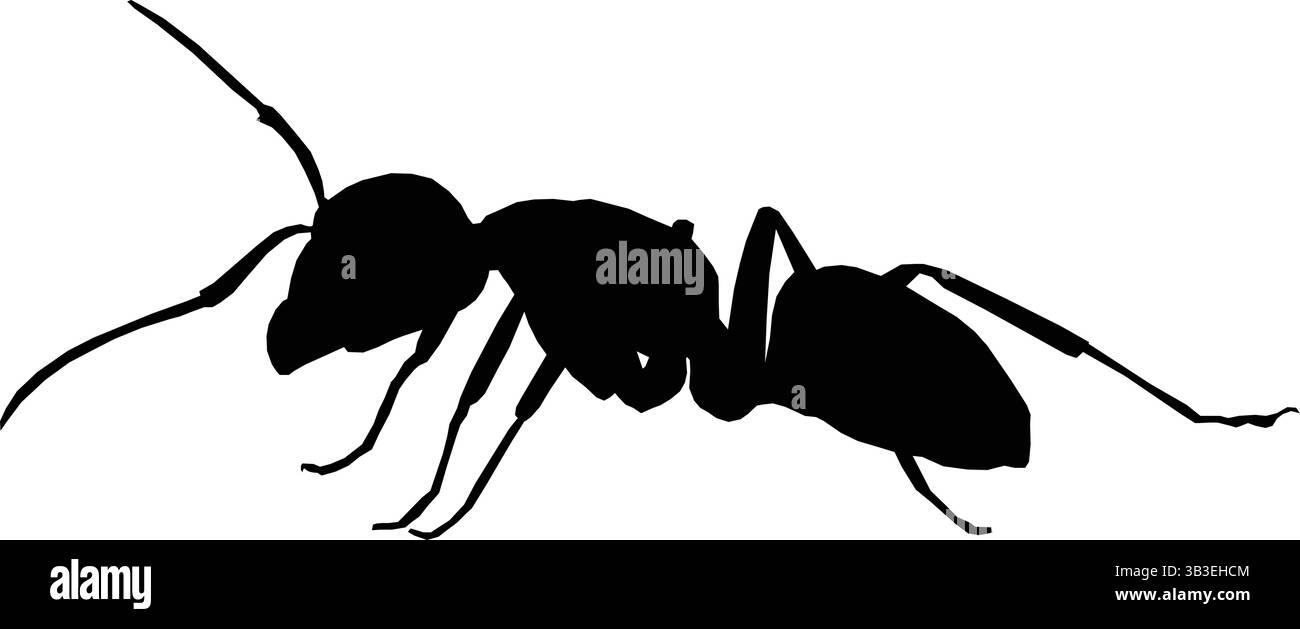Ant profile view hi-res stock photography and images - Alamy