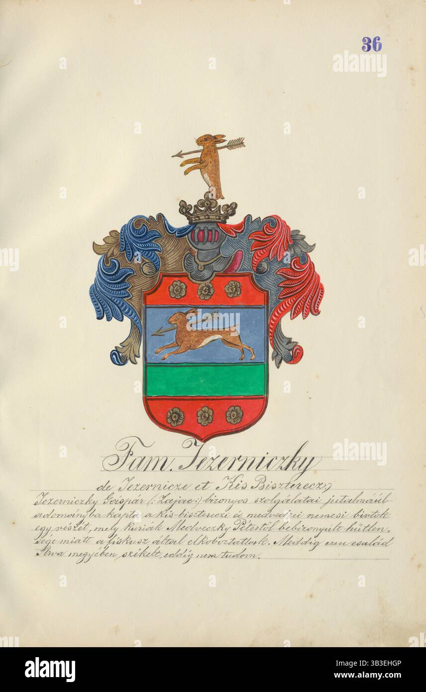 Coat of arms of the Jezernicka family, 1904. Additional Info: Adolf ...