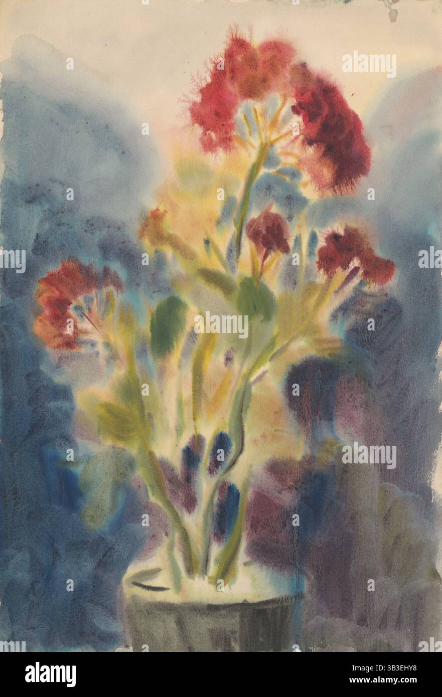 Red flower, 1930-1935 Stock Photo - Alamy