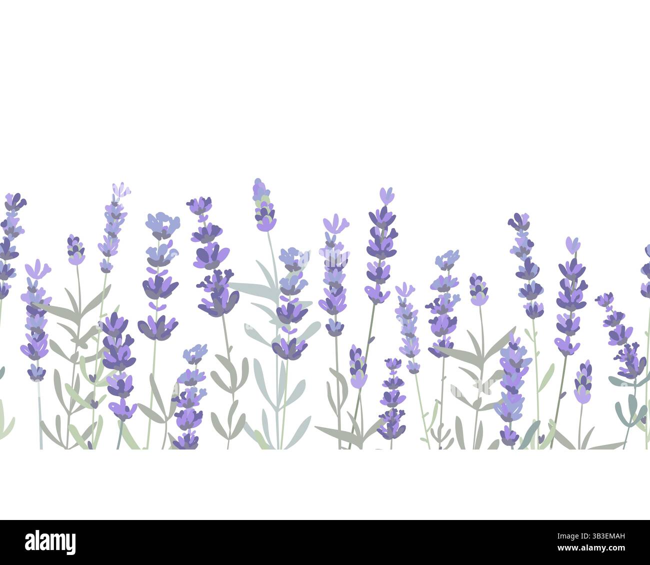 Lavender flowers border seamless pattern. Hand drawn vector ...