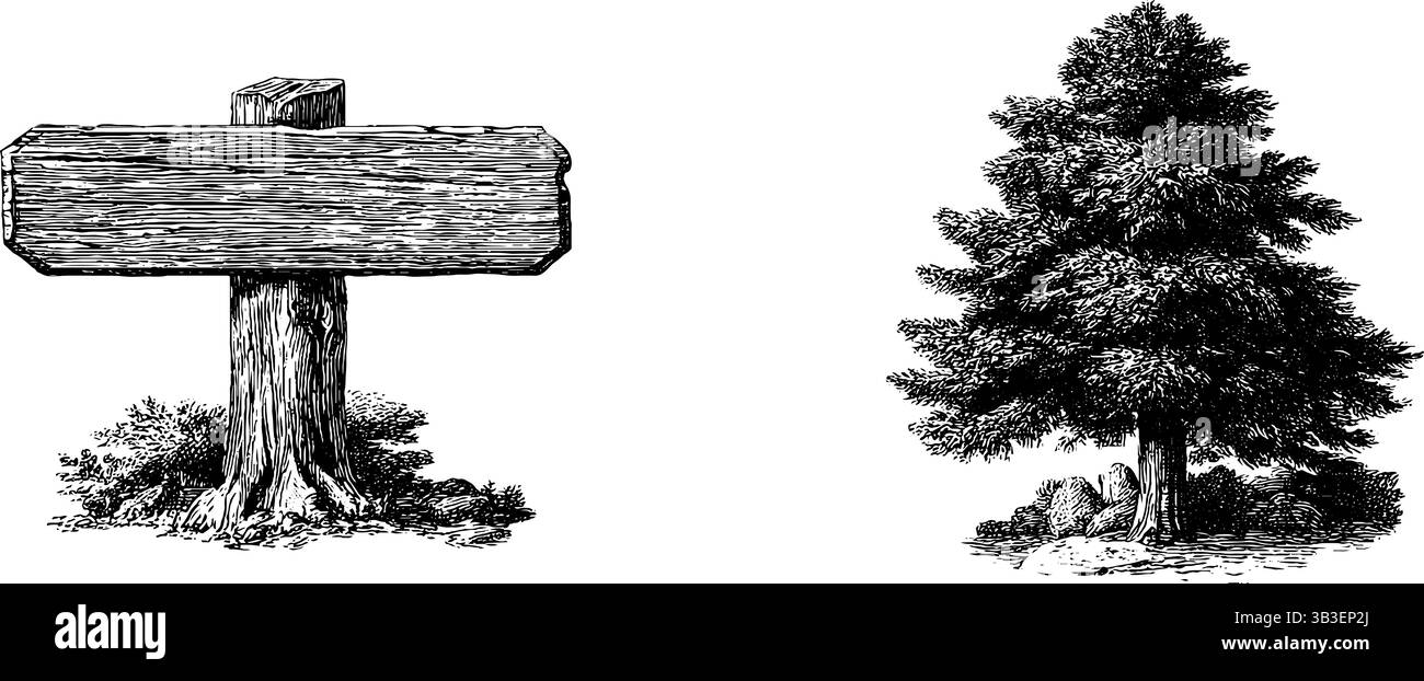 Engraved illustration set of camp sign and trail with tree for outdoor ...