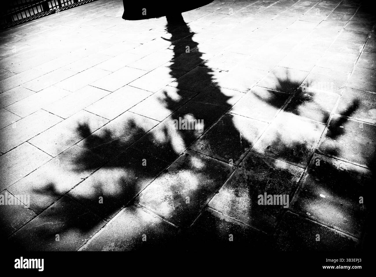Natural sunlight shadow wallpaper Black and White Stock Photos & Images ...