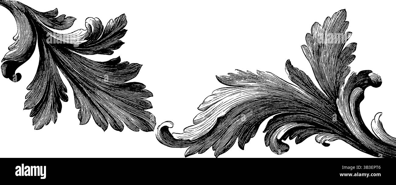 Elegant floral engraving set for decorative divider and corner design ...