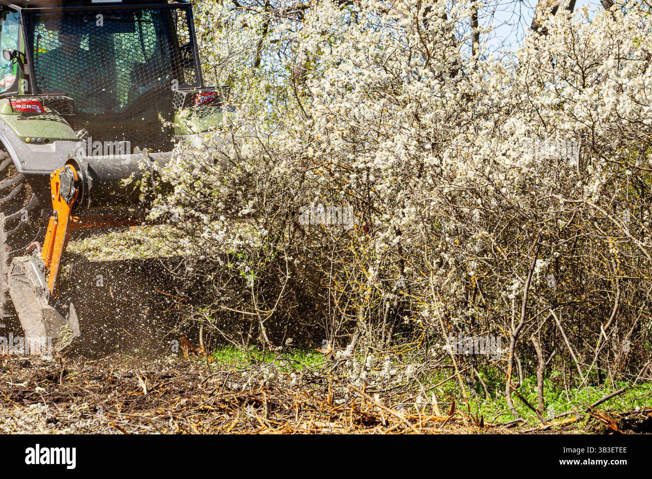 Picture of a tractor specialized in forest clearing that is in the ...