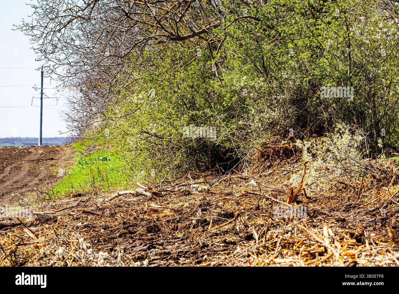 The picture on a very beautiful hill, where it shows a forest and ...