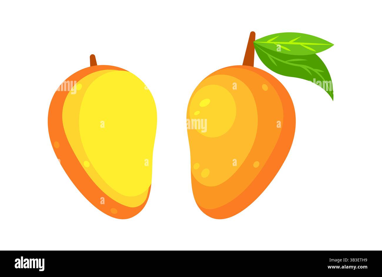 Whole cross section Stock Vector Images - Alamy