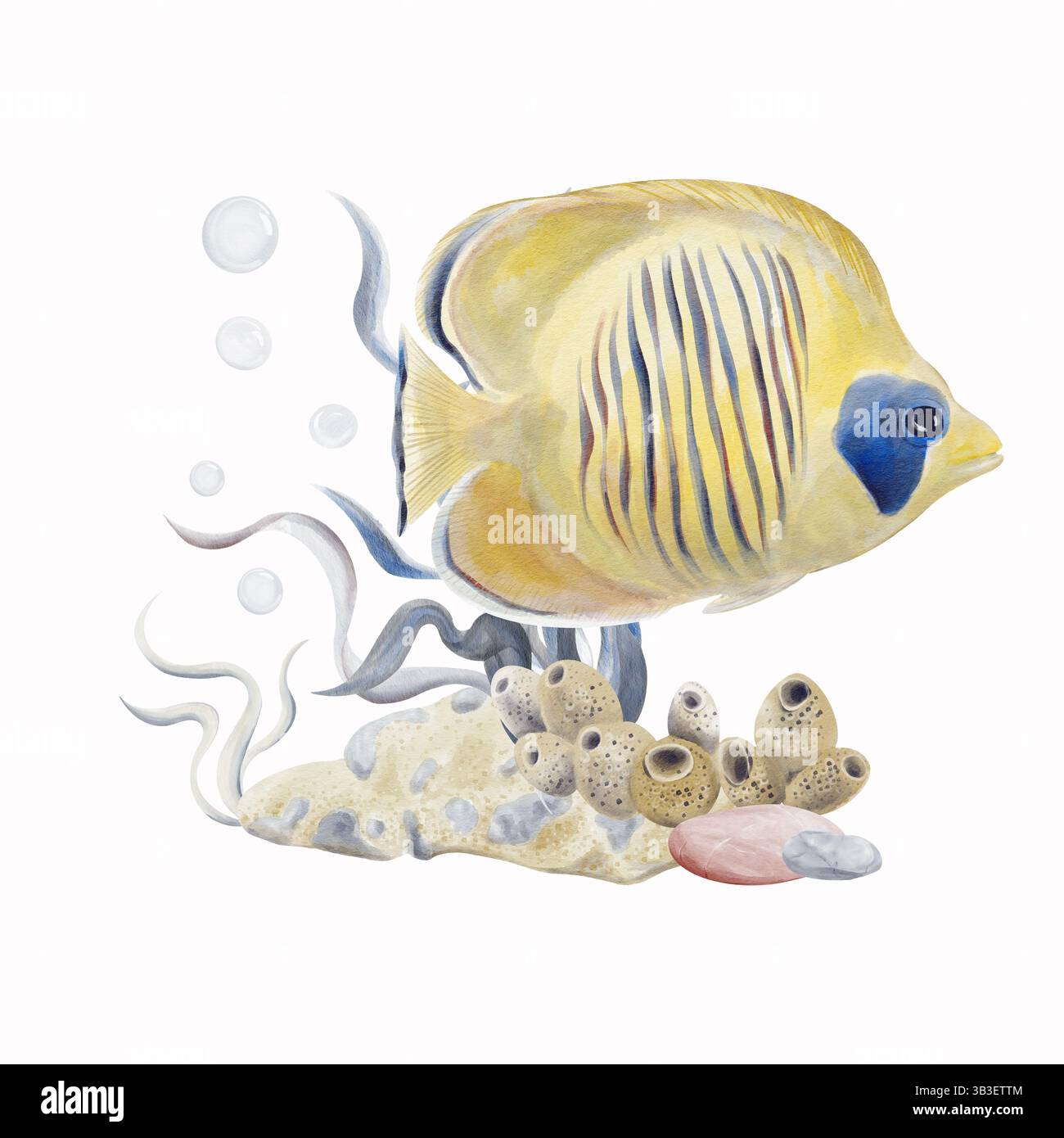 Fish swims in seaweed Cut Out Stock Images & Pictures - Alamy