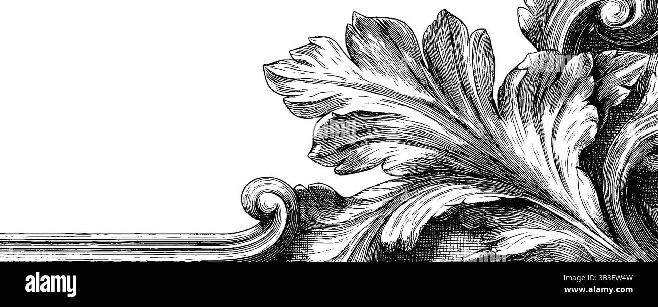 Engraved floral scroll design with ornate leaf detail for elegant ...