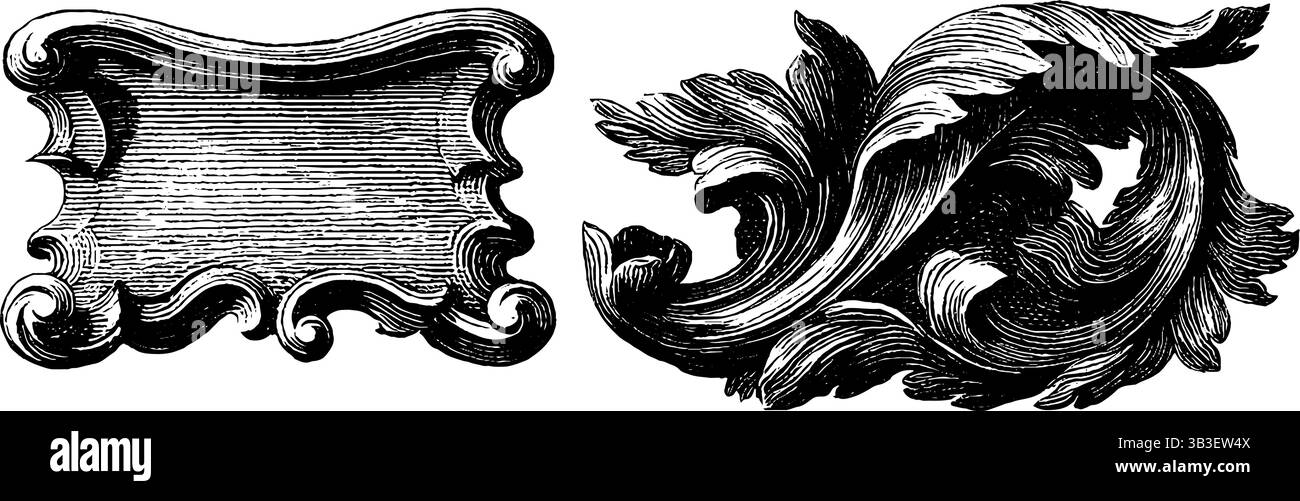 Intricate engraved designs of scroll labels and floral elements for ...