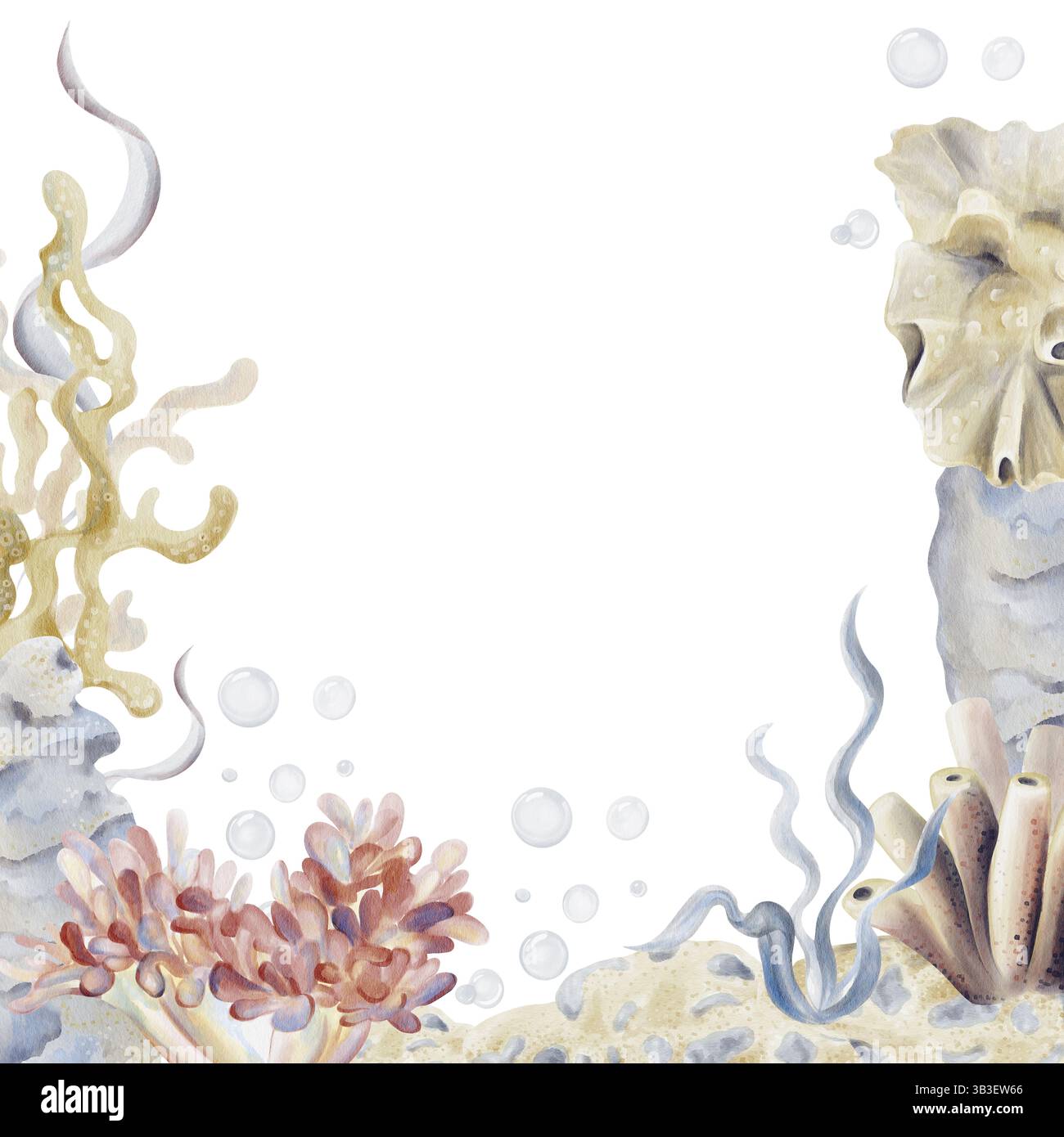 Frame and template with seabed and reef. Underwater world with flowers ...